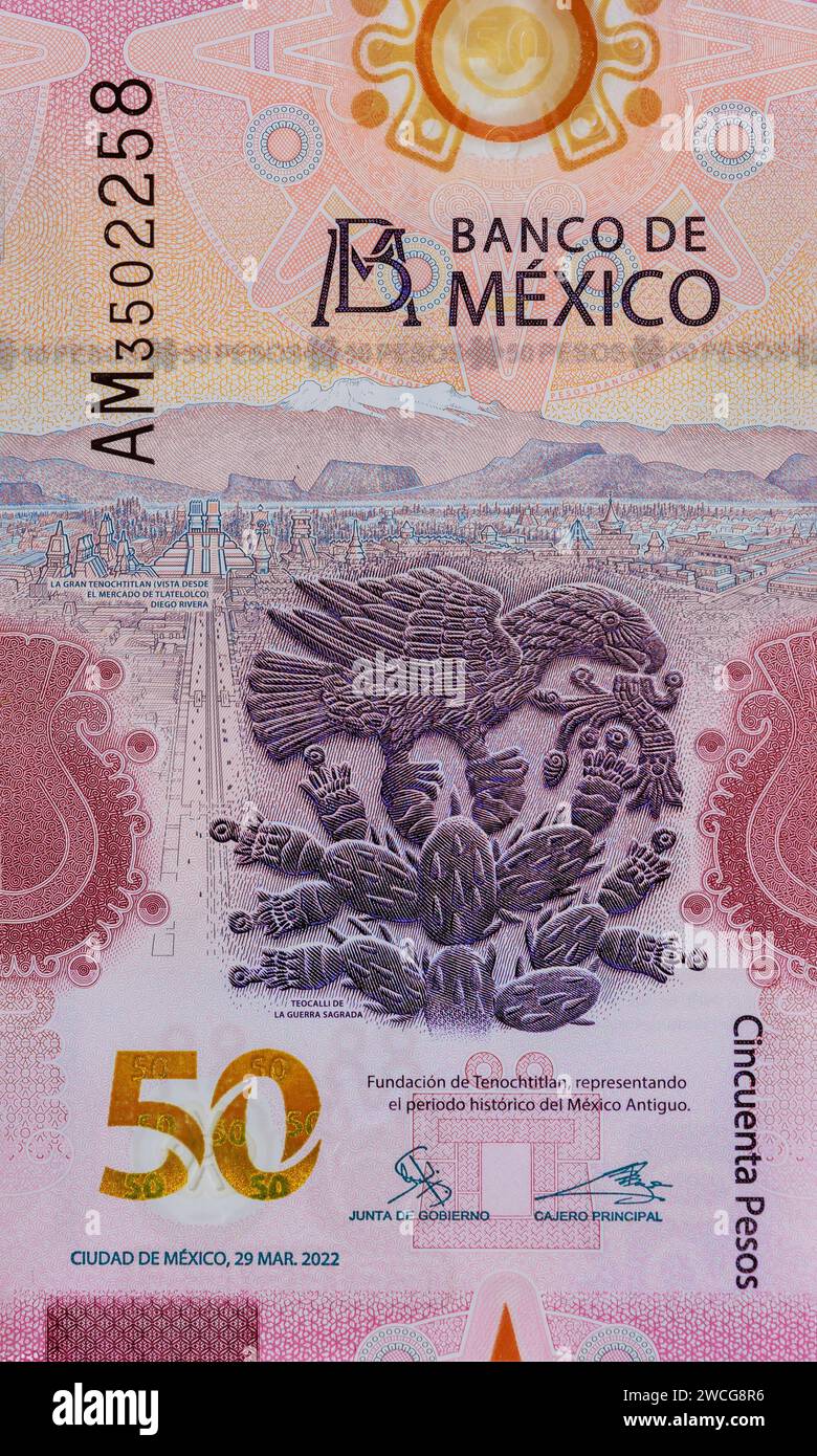 Mexico denominations banknotes fifty pesos national money front view ...
