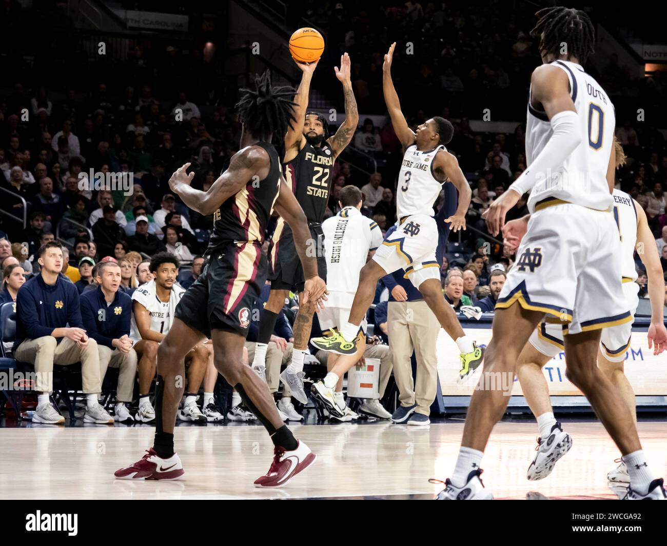 SOUTH BEND, IN - JANUARY 13: Florida State Seminoles guard Darin Green ...