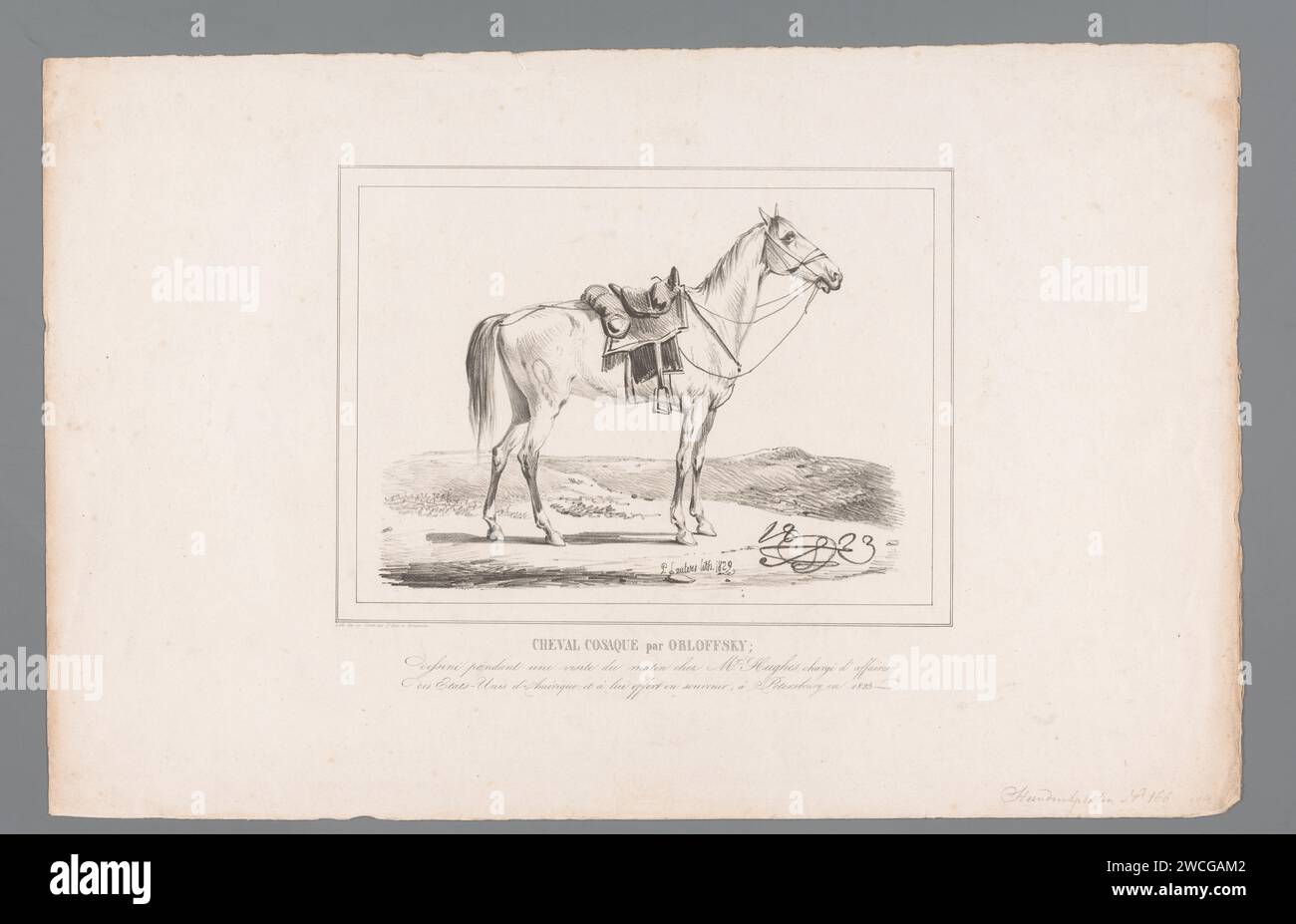 Cossack Horse, Paulus Lauters, 1829 print Brussels paper horse. saddle ...