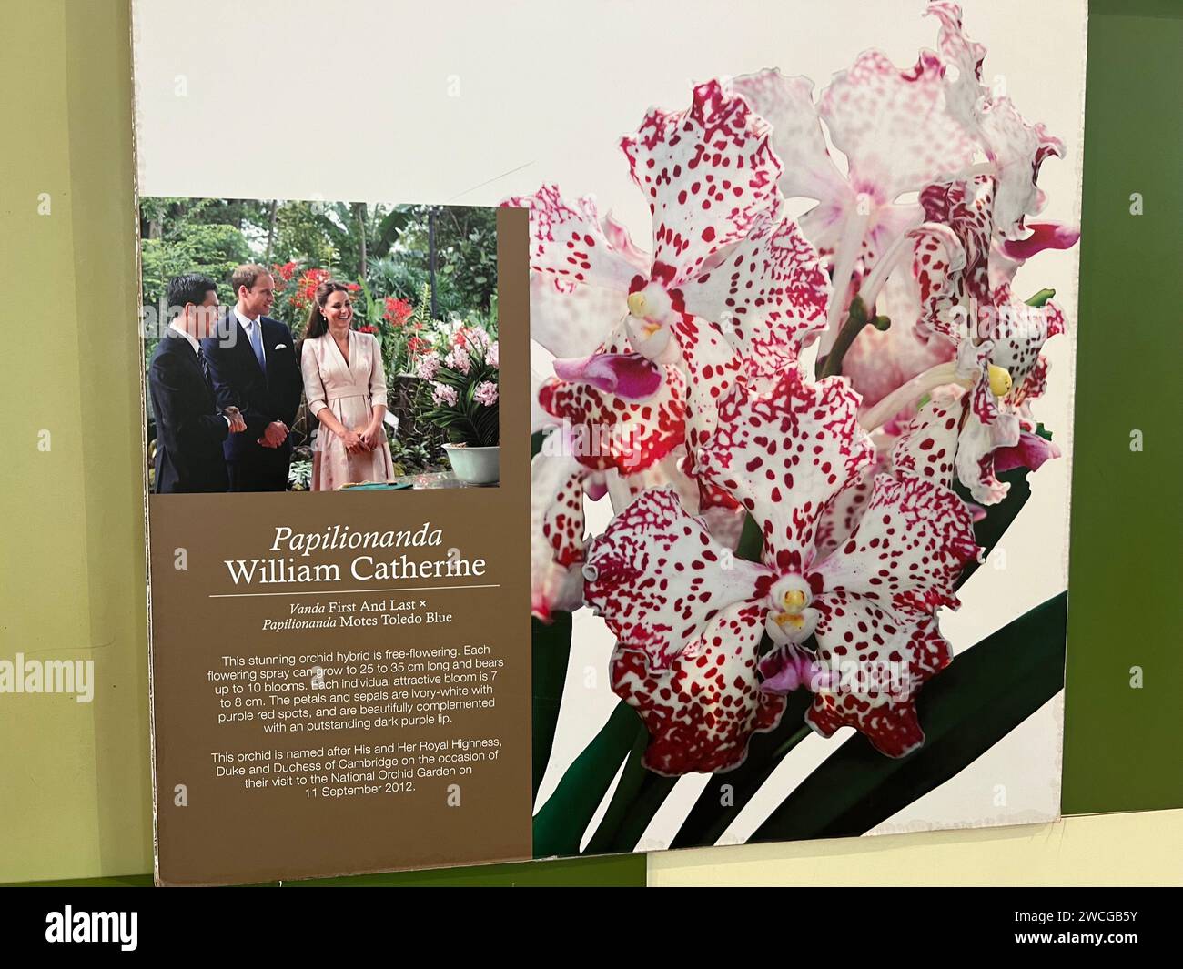Singapur, Singapore. 02nd Oct, 2023. Explanatory panel on the orchid ...