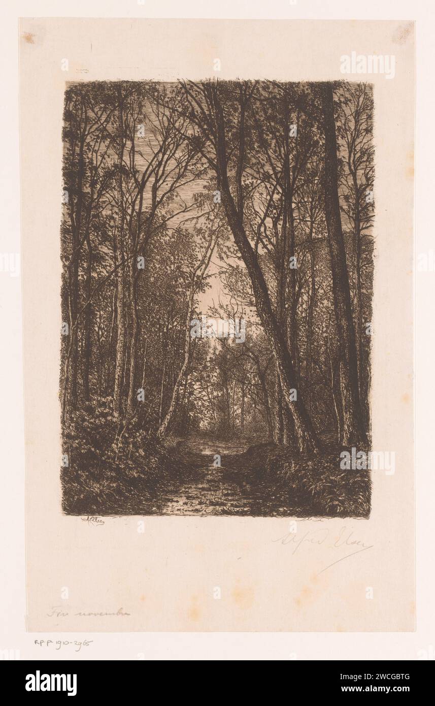 BosPad in the fall, Alfred Elsen, 1860 - 1910 print paper etching ...
