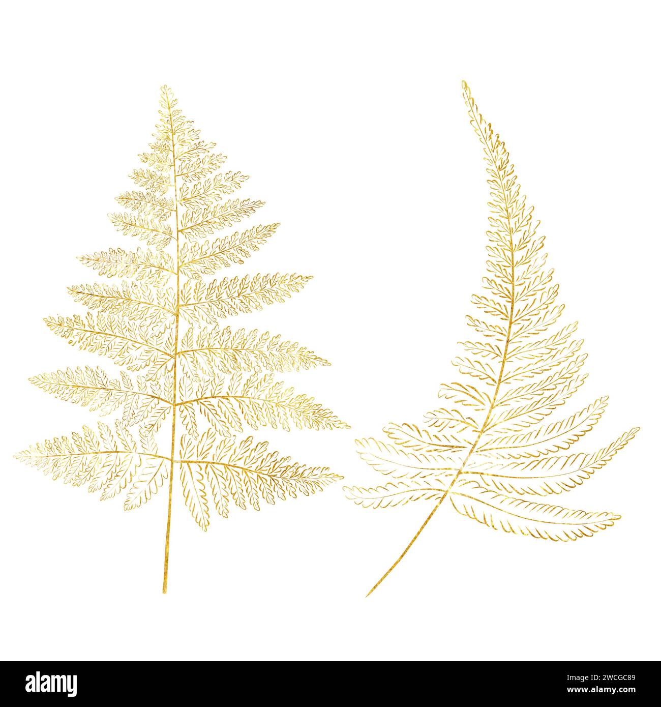 Golden fern twigs, luxury design. Tropical leaves, forest botany ...