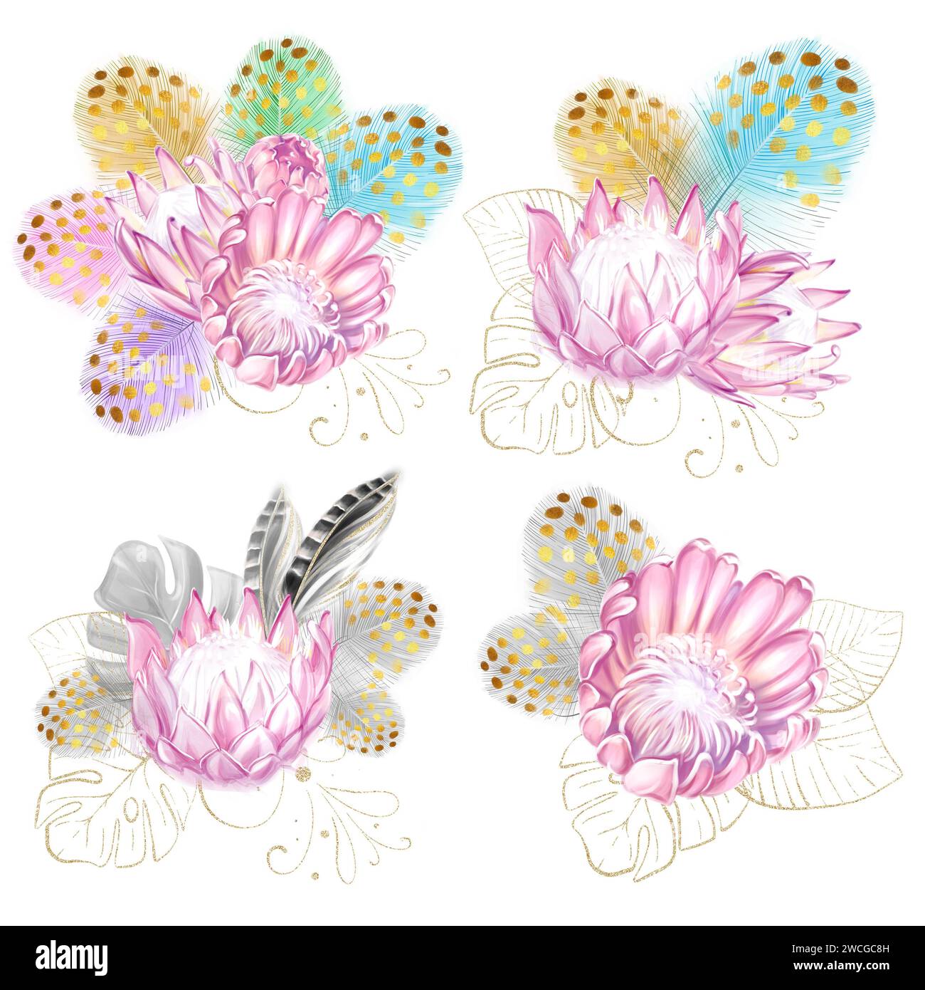 Set of watercolor protea flower hi-res stock photography and images - Alamy