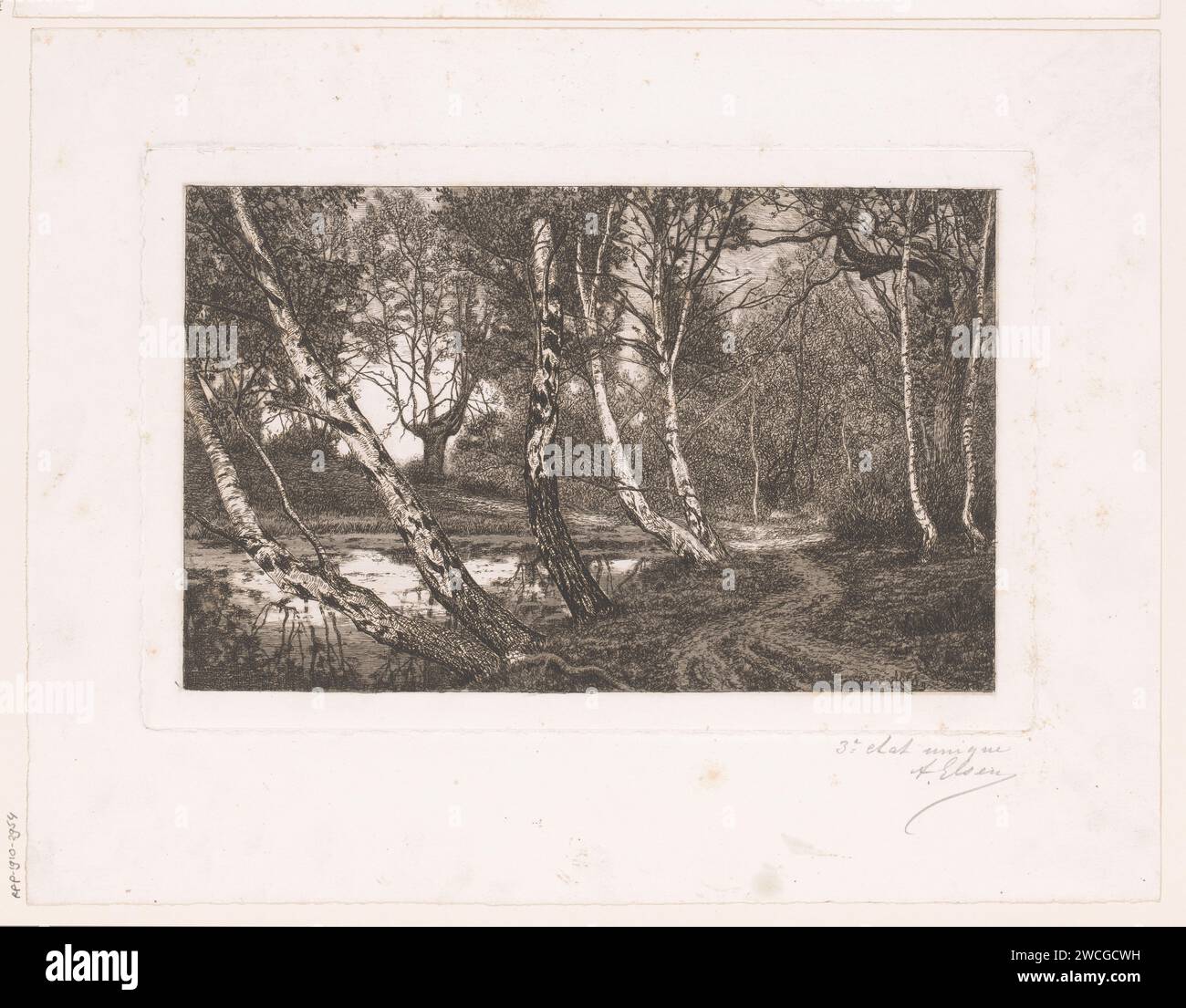 Landscape with birch along a shore, Alfred Elsen, 1860 - 1910 print ...