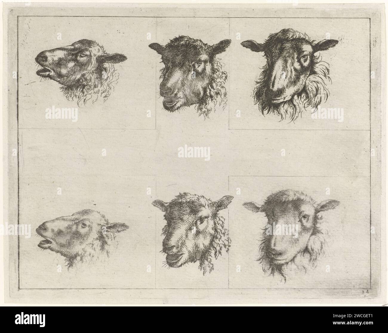 Study sheet with six sheep heads, Johannes Janson, 1761 - 1784 print ...
