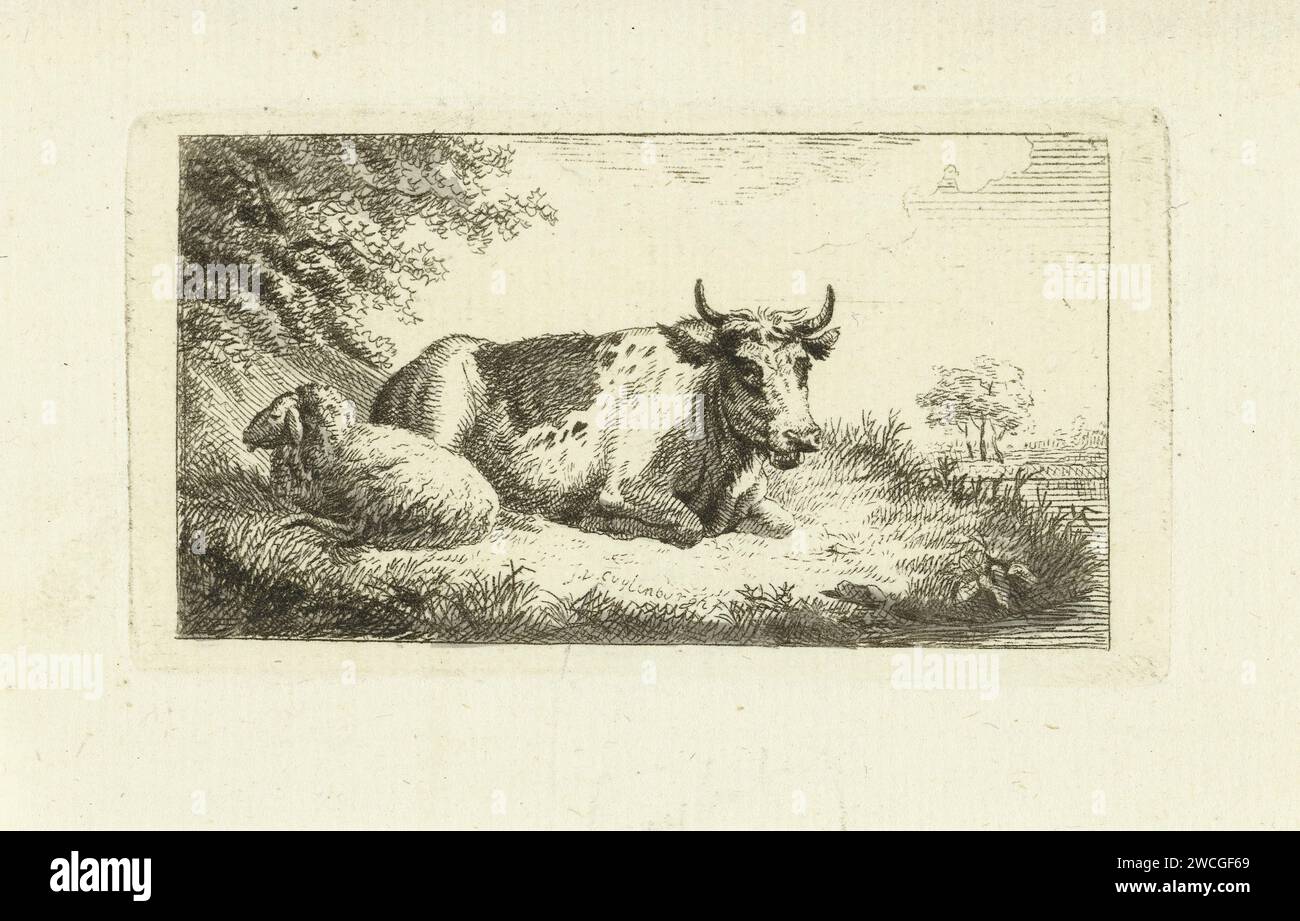 Lying cow and sheep, Johannes van Cuylenburgh, 1803 - 1841 print ...