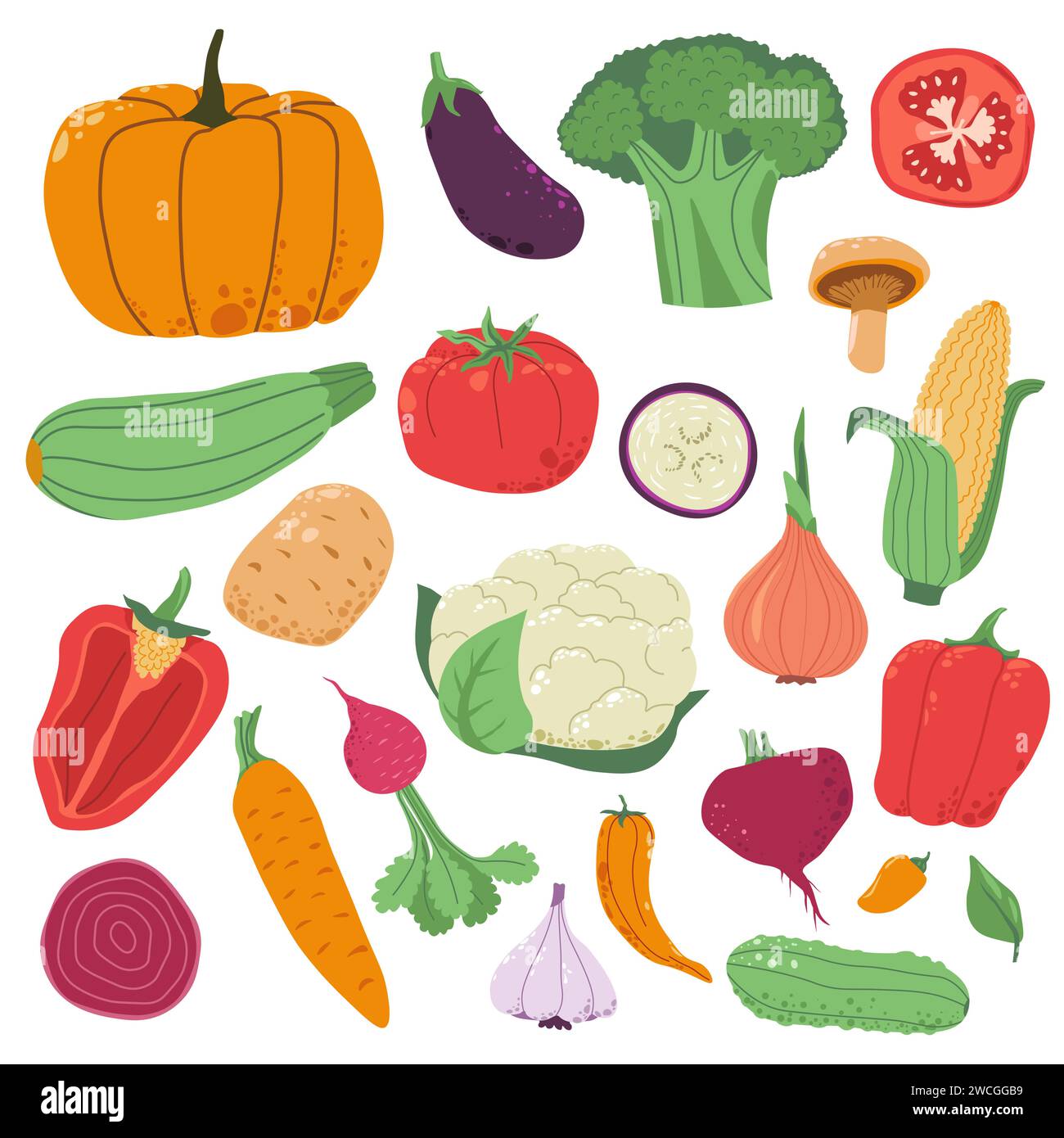 Vegetables for balanced healthy nutrition vector Stock Vector Image ...