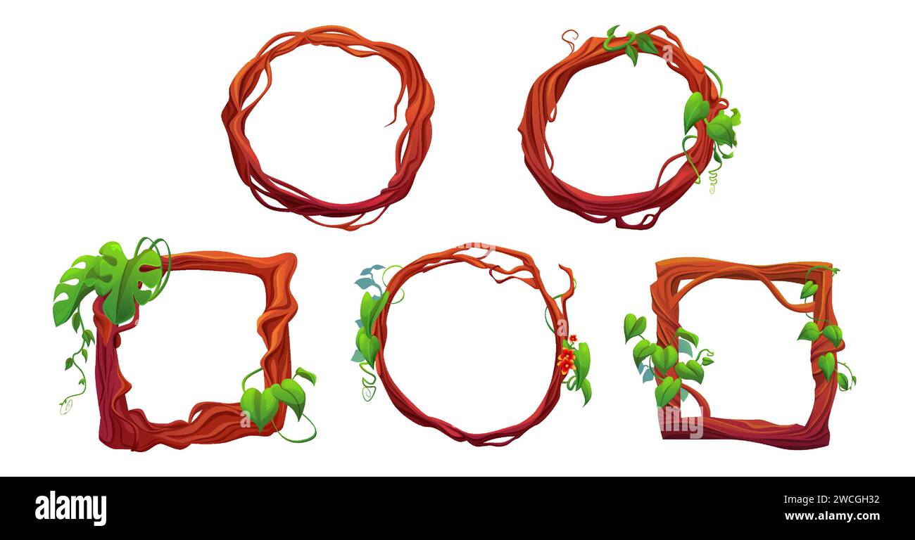 Jungle liana creeping vines with leaves and flowers formed in rectangle ...