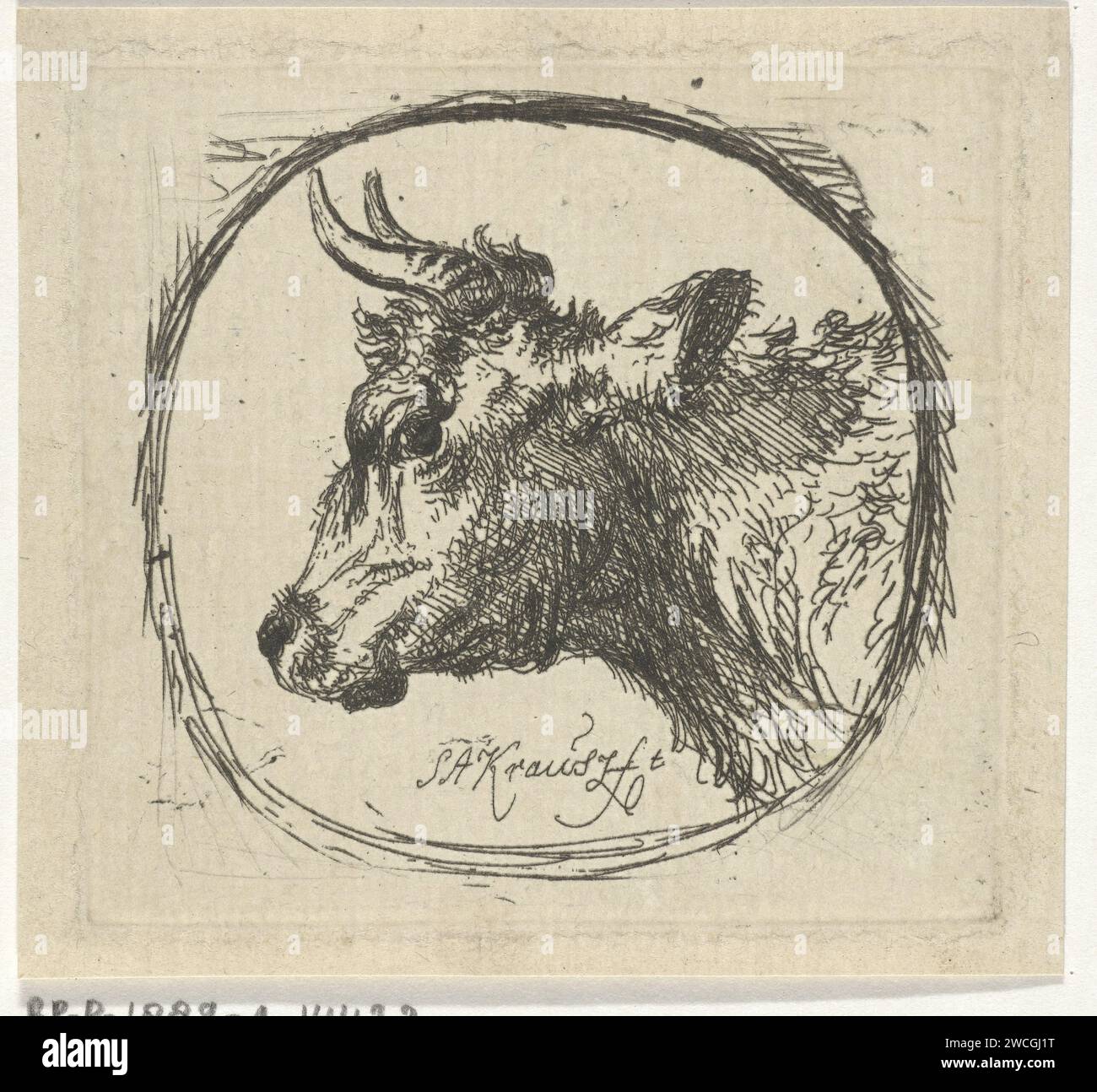 Cow head in profile to the left, Simon Andreas Krausz, 1770 - 1825 ...