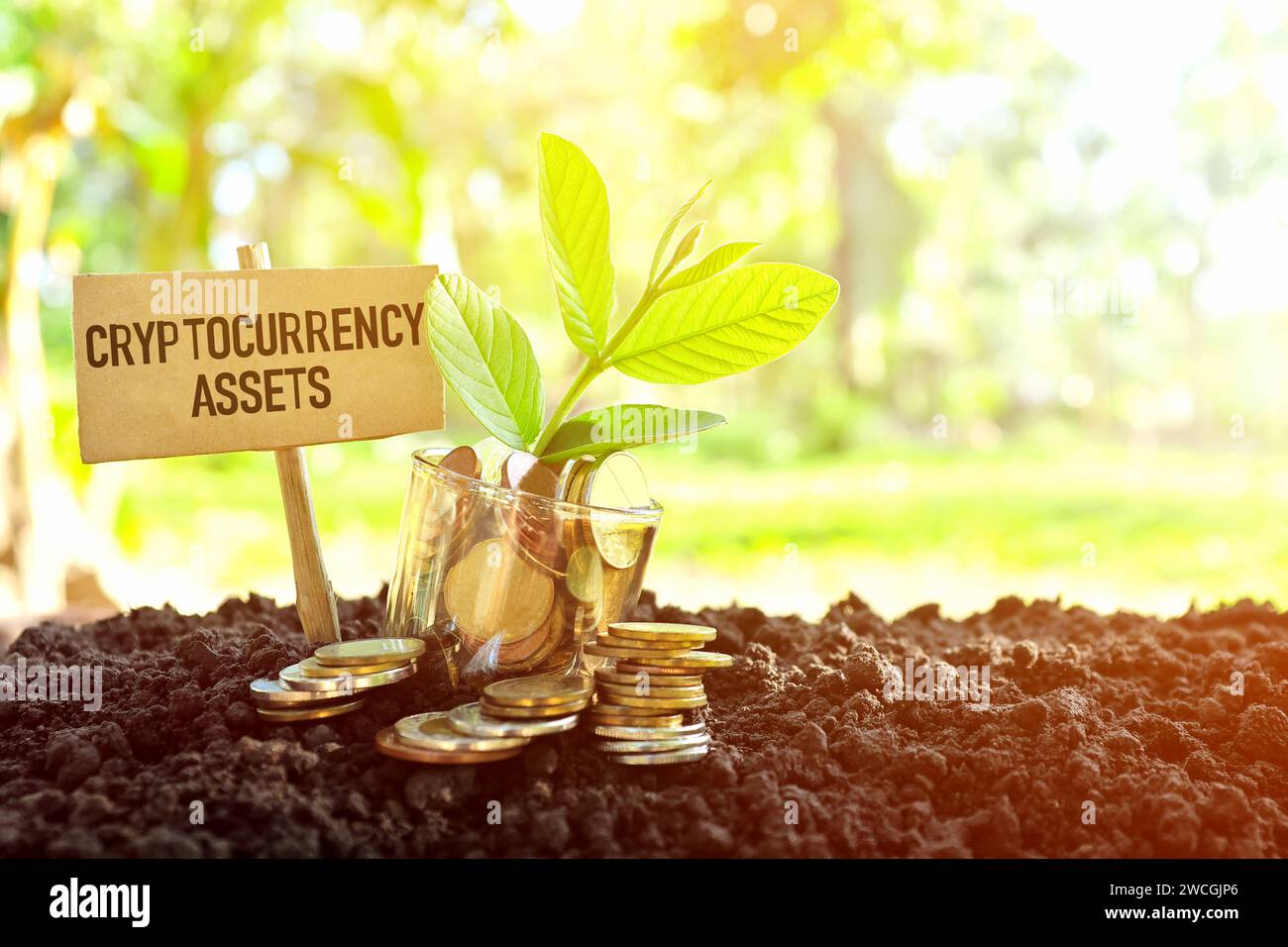 Digital assets hi-res stock photography and images - Alamy