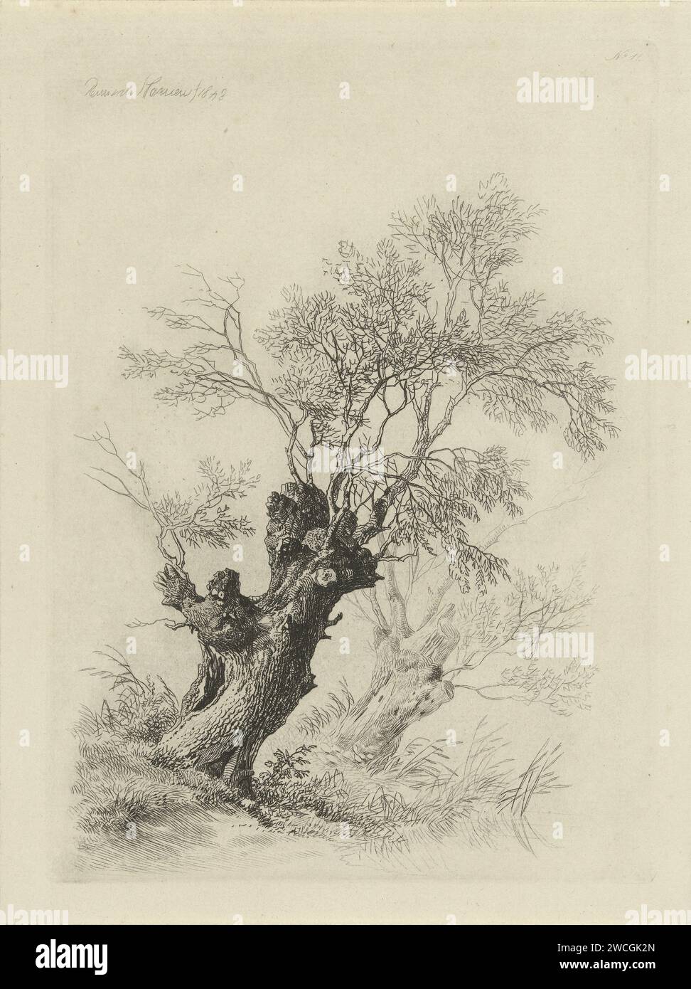 Wilgenboom, Remigius Adrianus Haanen, 1848 print A floating willow tree ...