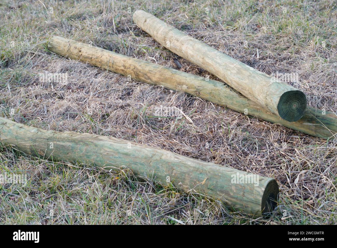 The wooden logs placed side by side on a lush grassy surface Stock ...