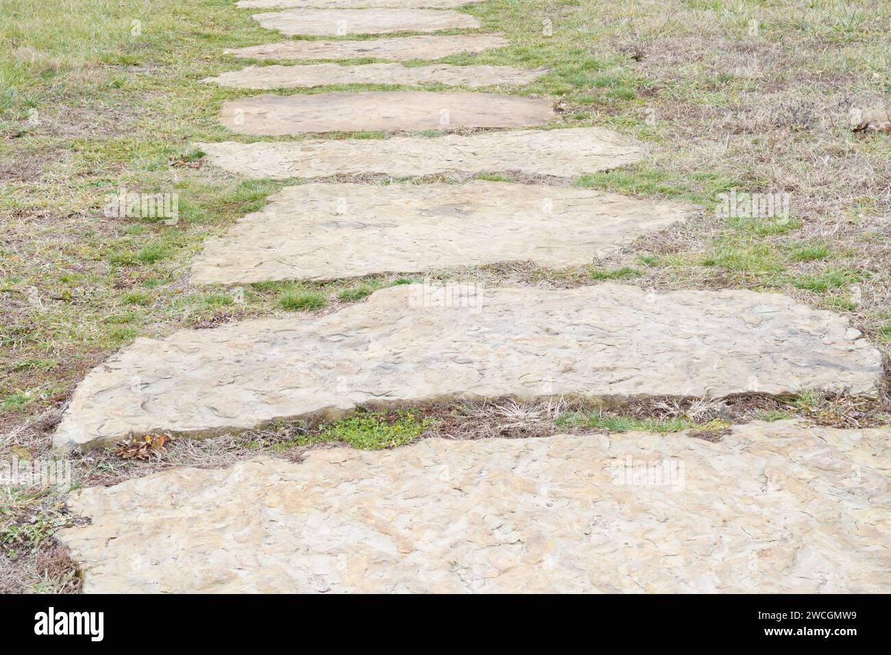 Captivating pathway hi-res stock photography and images - Alamy