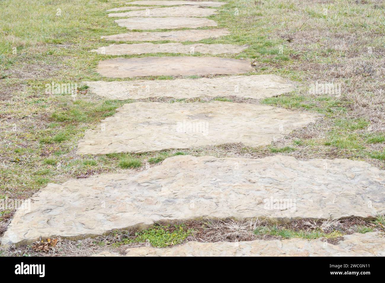 A scenic stone pathway meandering through a lush green meadow Stock ...