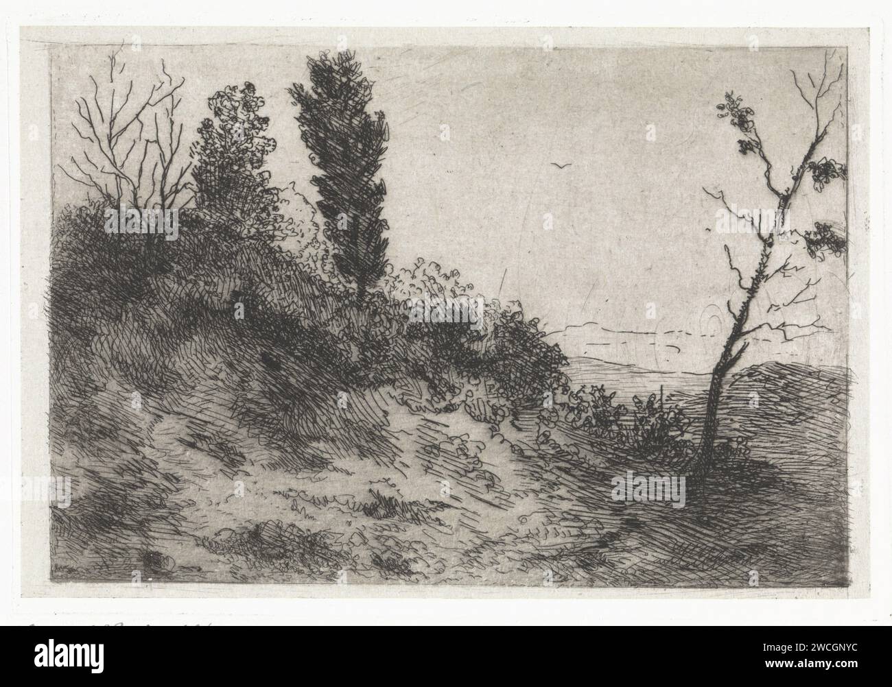 Duin landscape, Arnoud Schaepkens, 1831 - 1888 print paper. etching ...