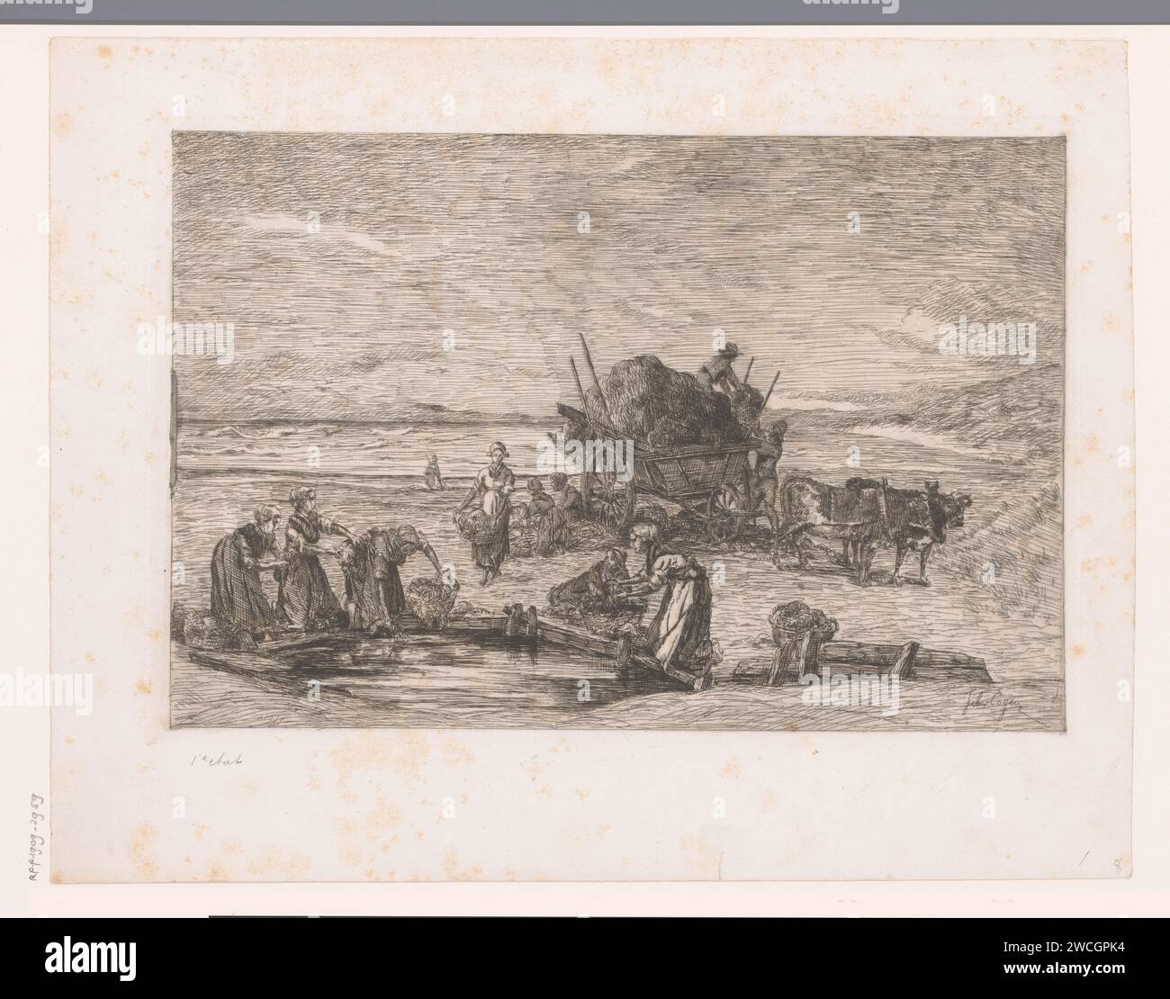 People gather seaweed at the Dunkirk, Félix Cogen, 1875 print paper ...