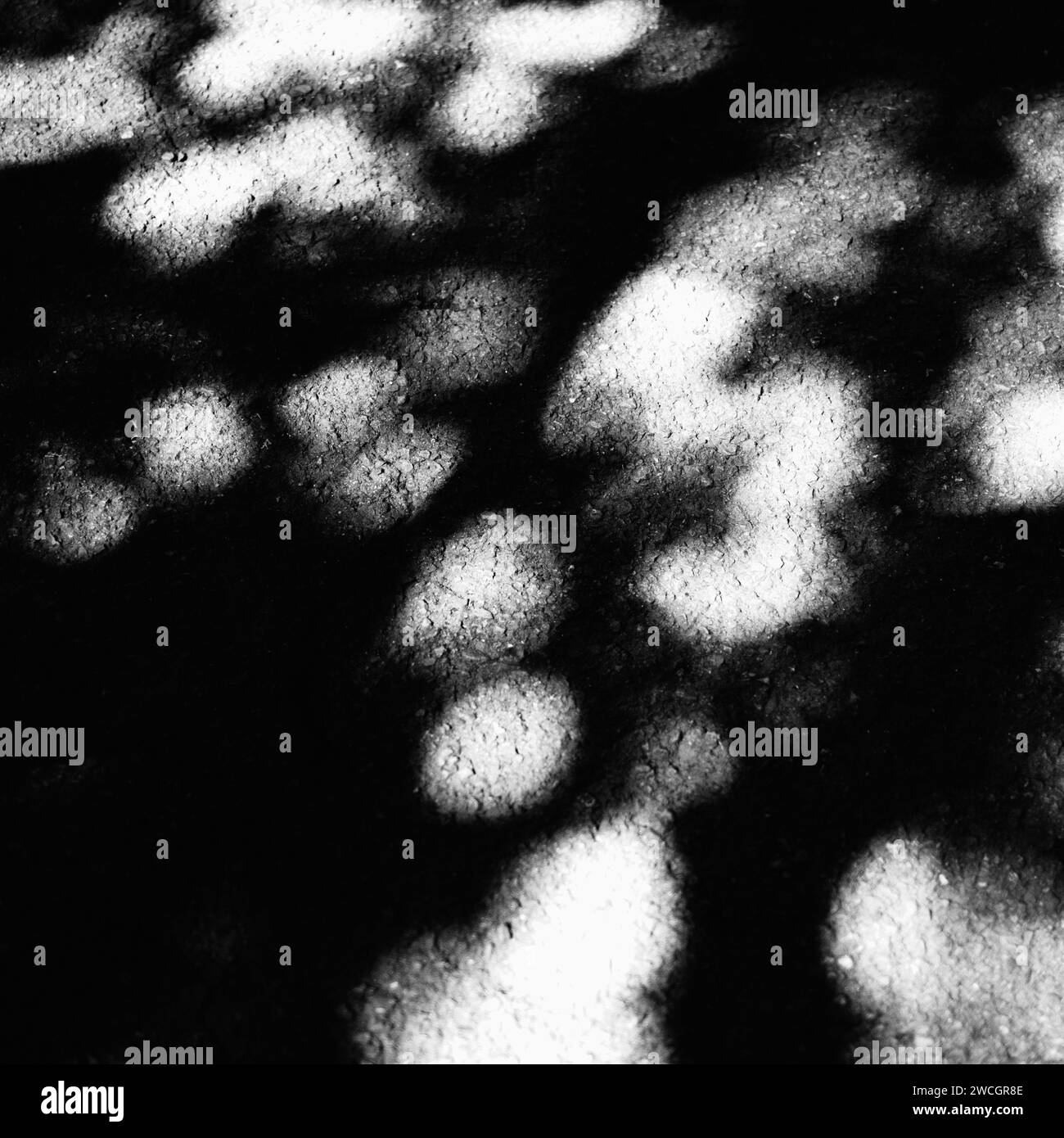 Foliage shadow on the road, Izu Peninsula, Japan Stock Photo - Alamy