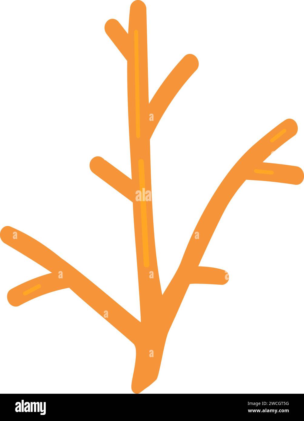 Sorting organic food waste. Plant stem. Leftovers and scraps of food ...