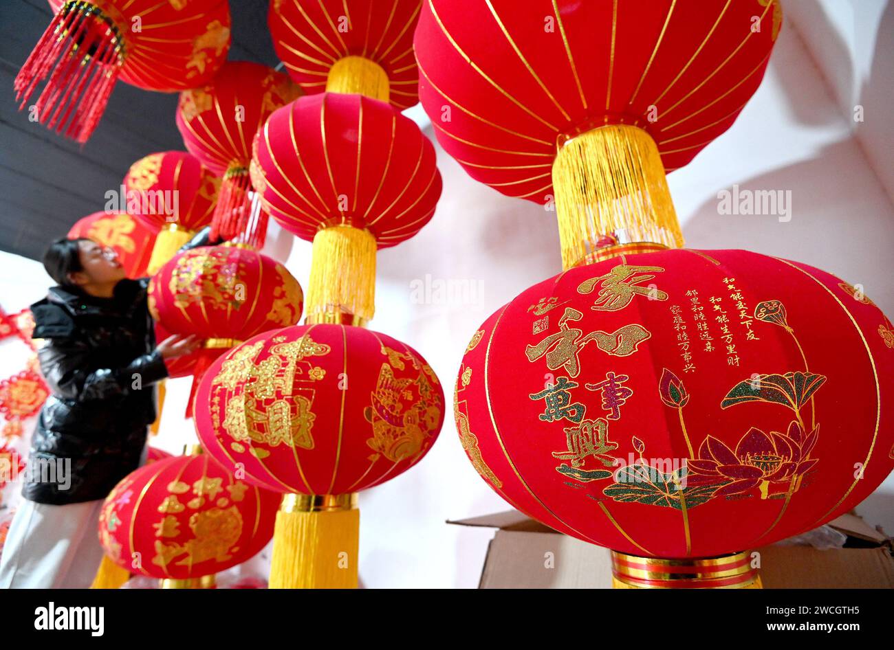 HANDAN, CHINA - JANUARY 16, 2024 - A villager arranges red lanterns ...