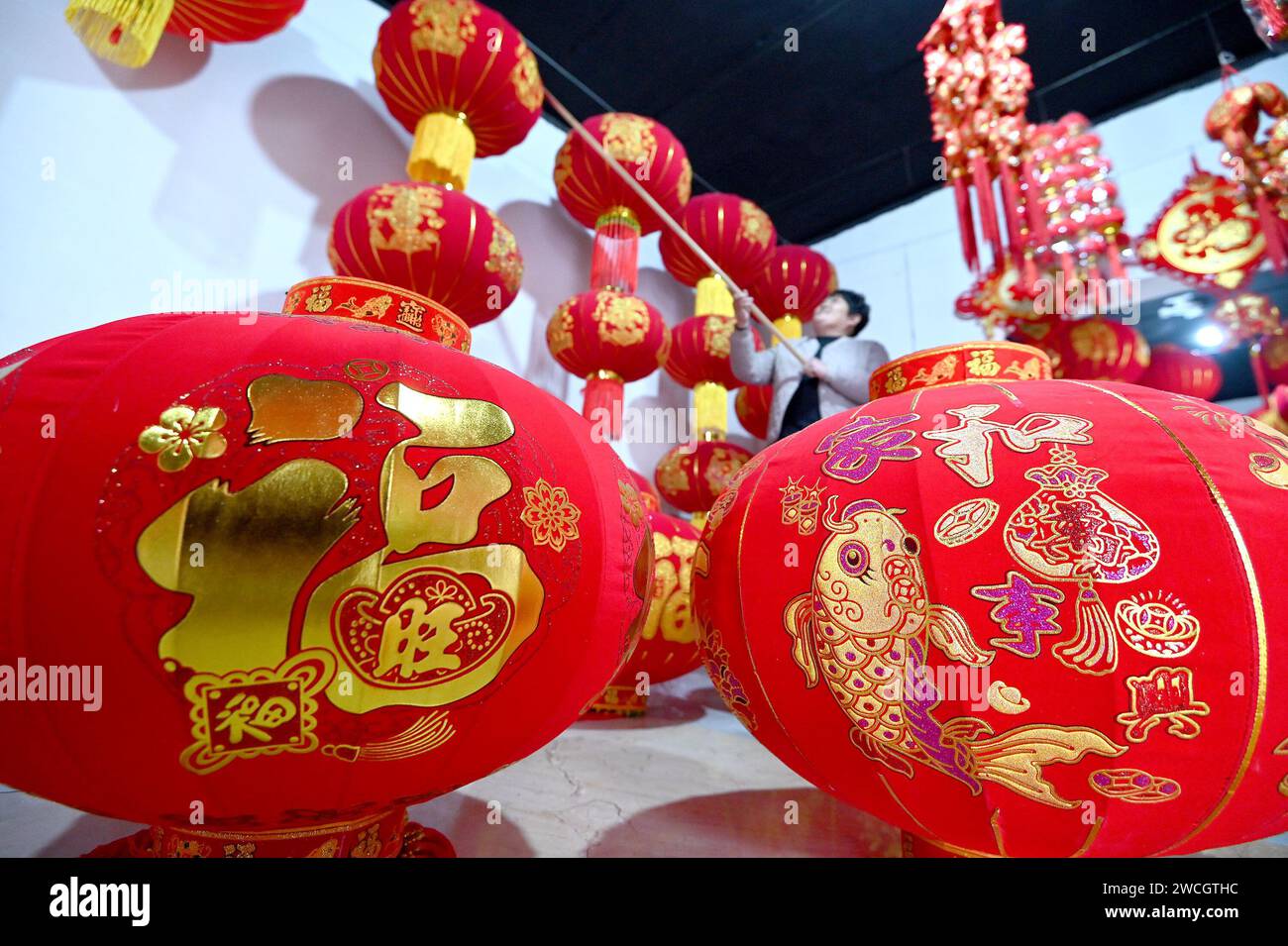 HANDAN, CHINA - JANUARY 16, 2024 - A villager arranges red lanterns ...