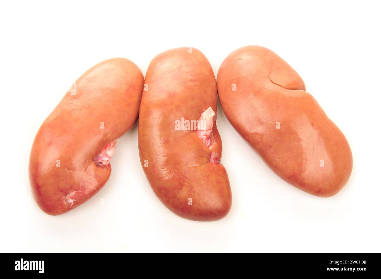 Pig kidney on a white background Stock Photo - Alamy