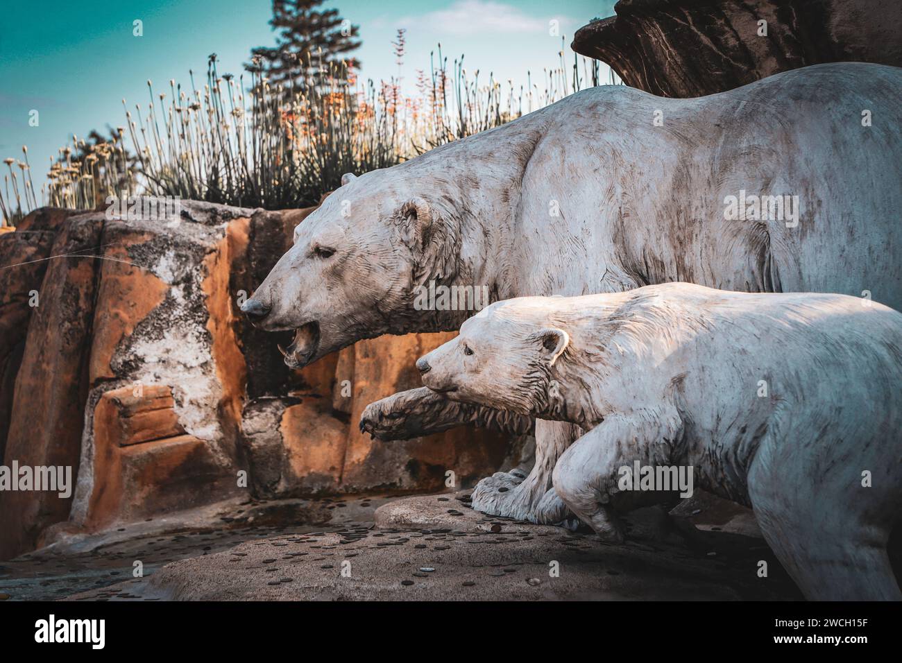A close-up of Polar Bear statues in a dry fountain Stock Photo - Alamy