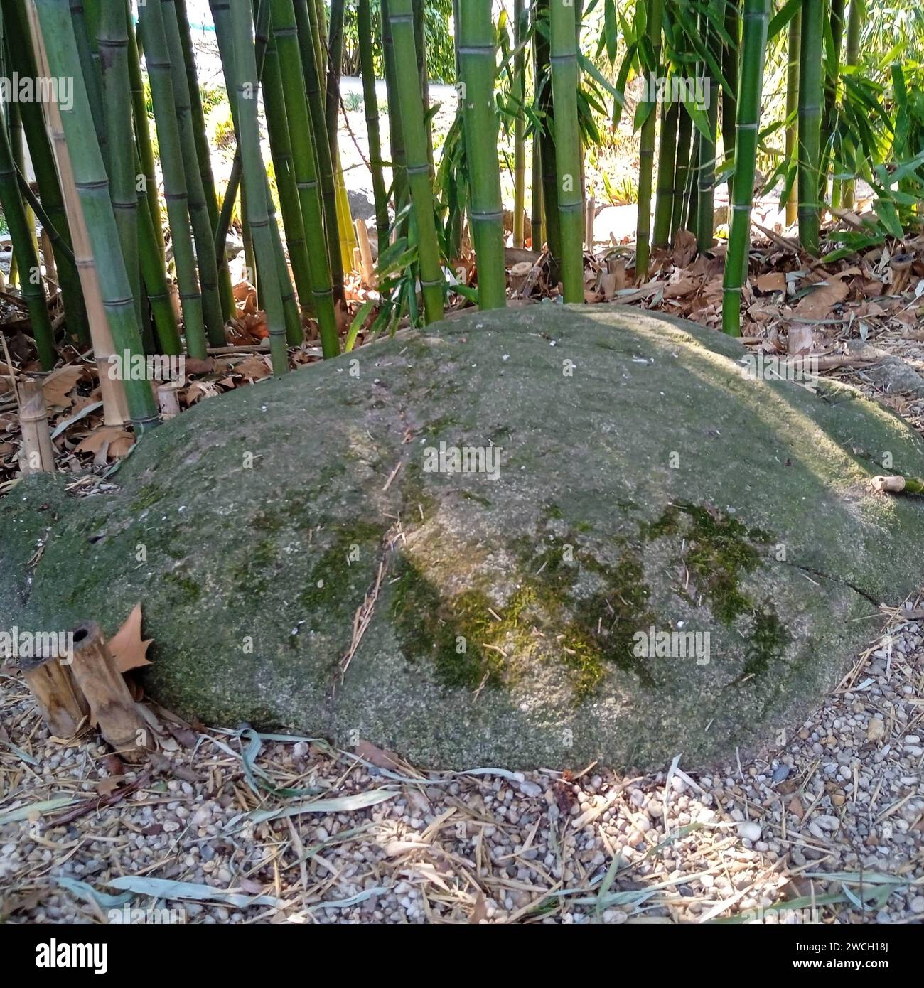 a rockery, garden and garden design with stones and rocks rockery ...