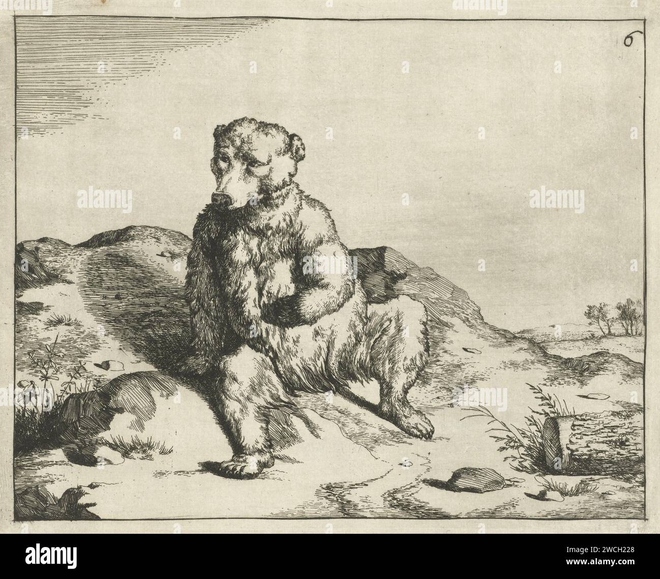 Seated bear seen from the front, Marcus de Bye, After Paulus Potter ...