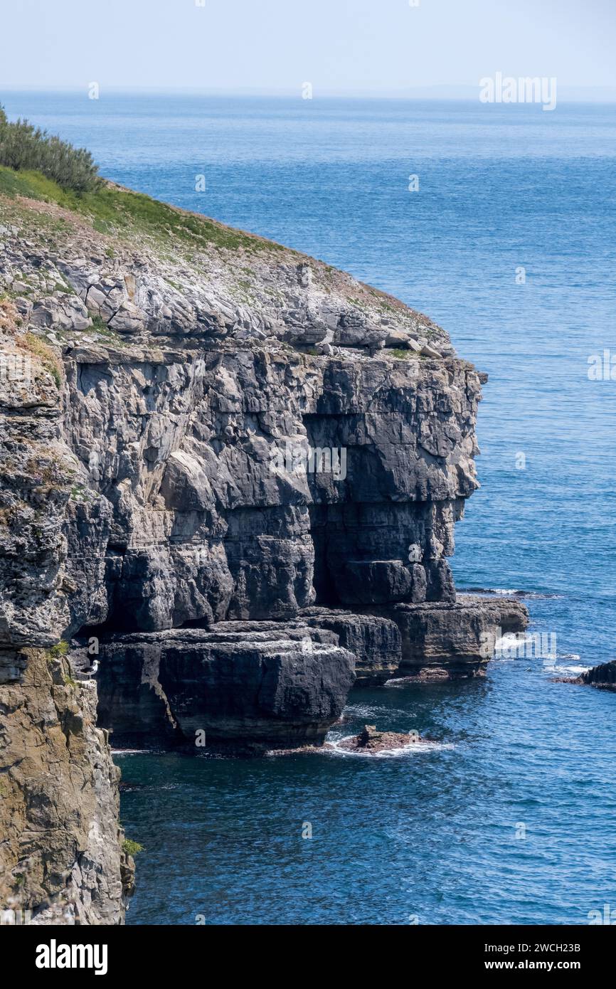 Durlston Bay, Dorset UK Stock Photo - Alamy