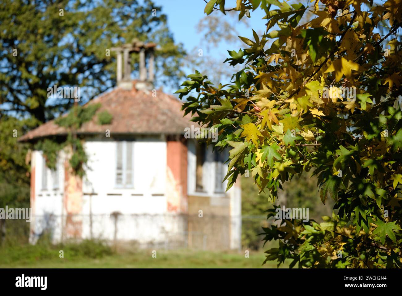 Monza Park: A scenic and expansive green oasis, featuring lush ...