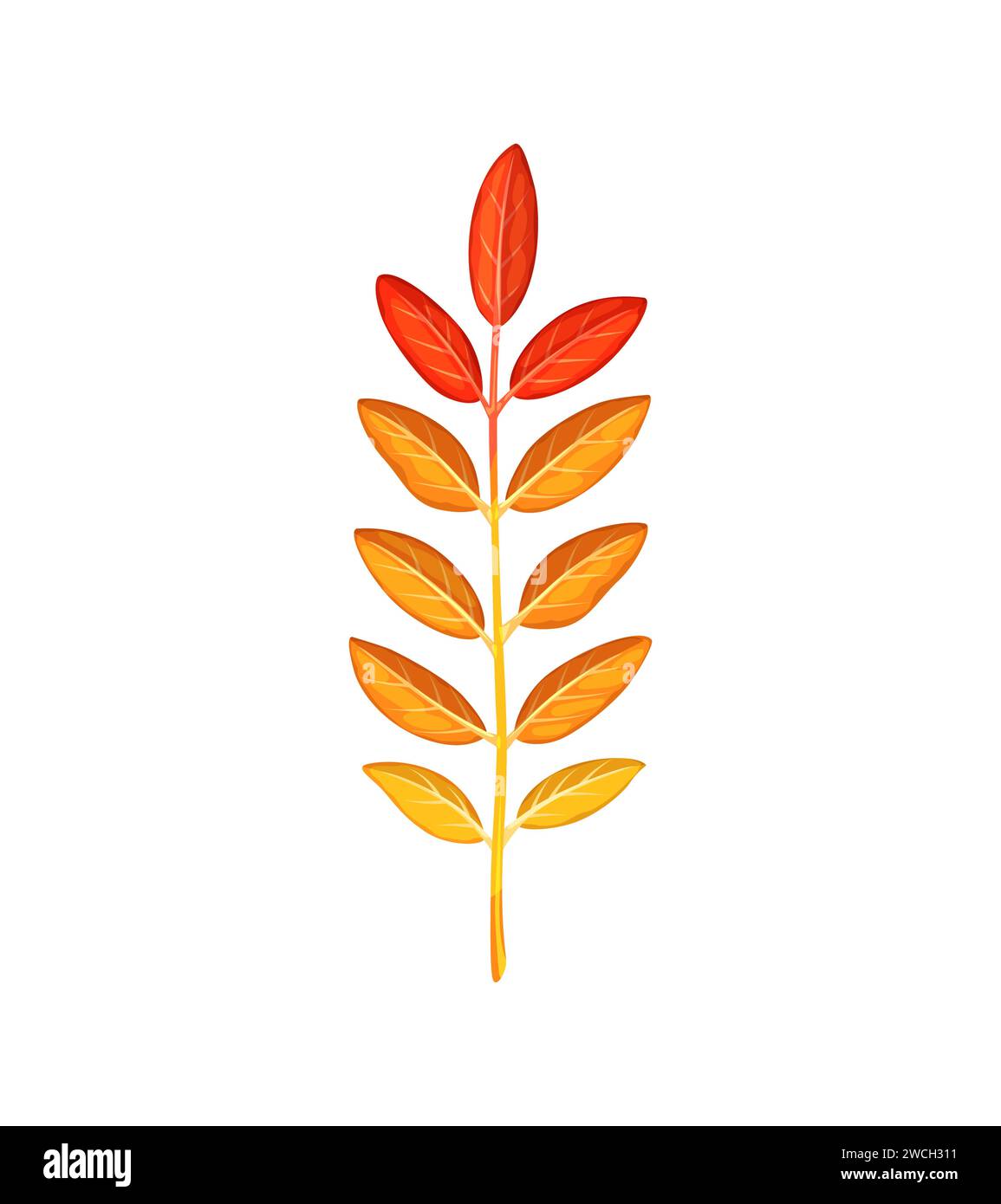 That splendid november Stock Vector Images - Alamy