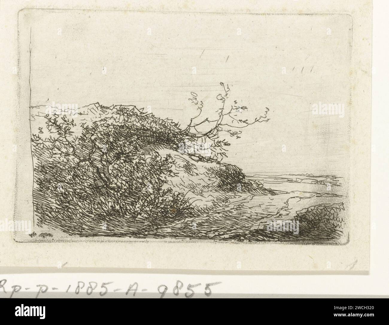Duin landscape with bushes, Andreas Schelfhout, 1802 - 1870 print Dune ...