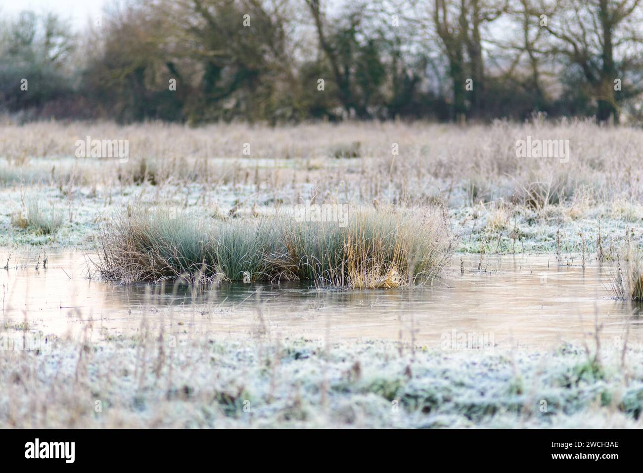 Hard frost in the countryside with temperatures down to -4 early ...