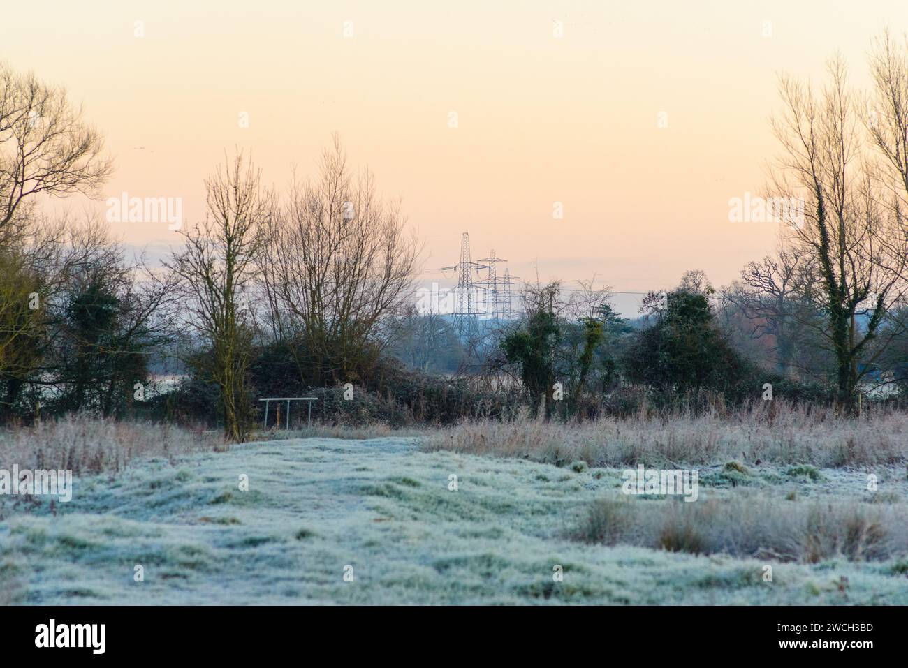 Hard frost in the countryside with temperatures down to -4 early ...
