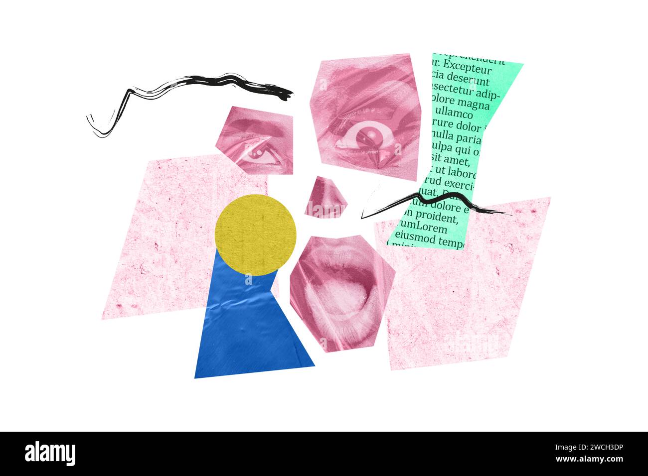 Collage creative poster colorful retro effect element face crazy eyes ...