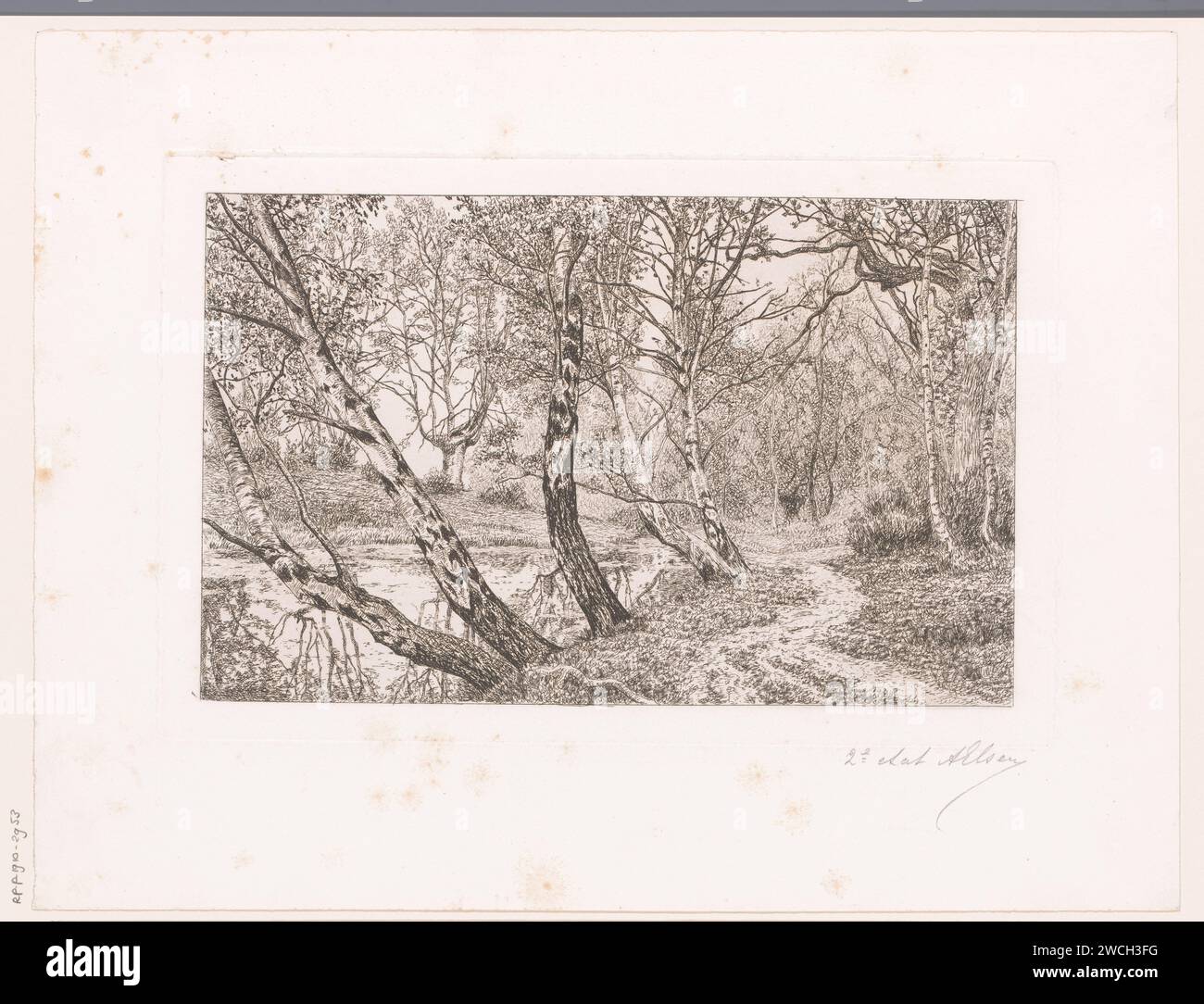 Landscape with birch along a shore, Alfred Elsen, 1860 - 1910 print ...