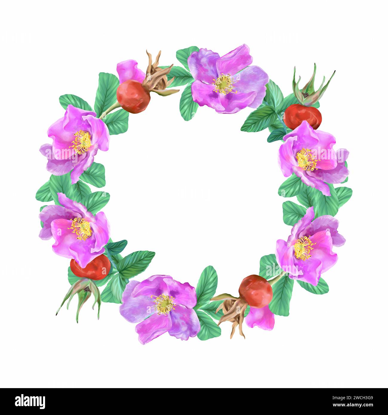 Rosehip, flowers, leaves, berries, wreath. Graphic illustration ...