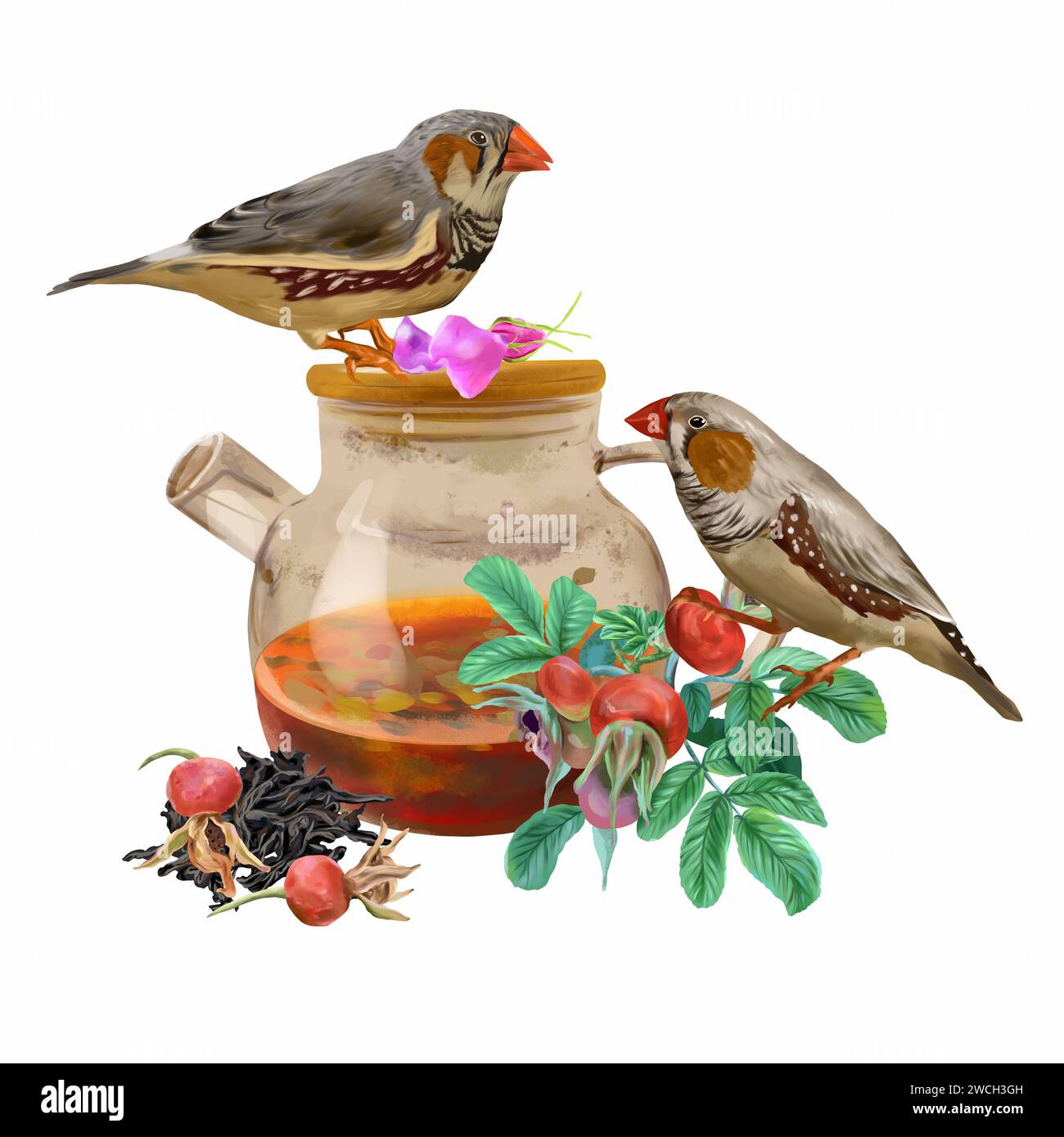 Teapot, rose hips, dry tea leaves, birds, petals. Graphic illustration ...