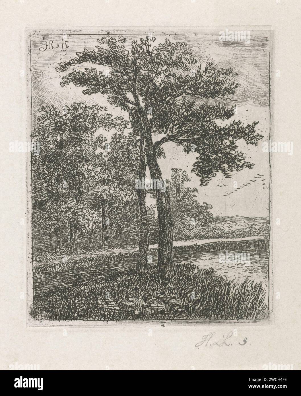 Tree -rich landscape with ducks, Hermanus Jan Hendrik Rijkelijkhuizen ...