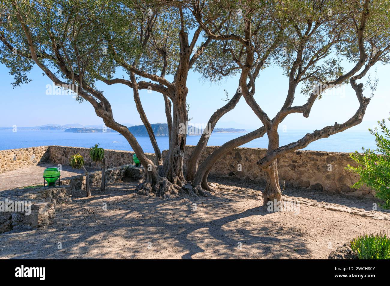 View of Procida coast from a evocative garden on Ischia Island, Italy ...