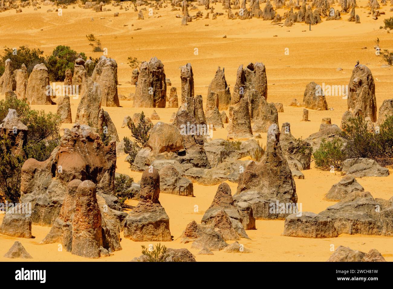 The limestone formations in the Pinnacles Desert. Western Australia ...