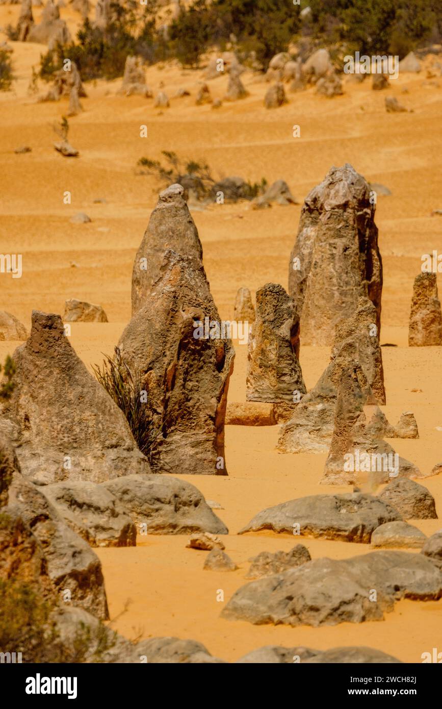 The limestone formations in the Pinnacles Desert. Western Australia ...