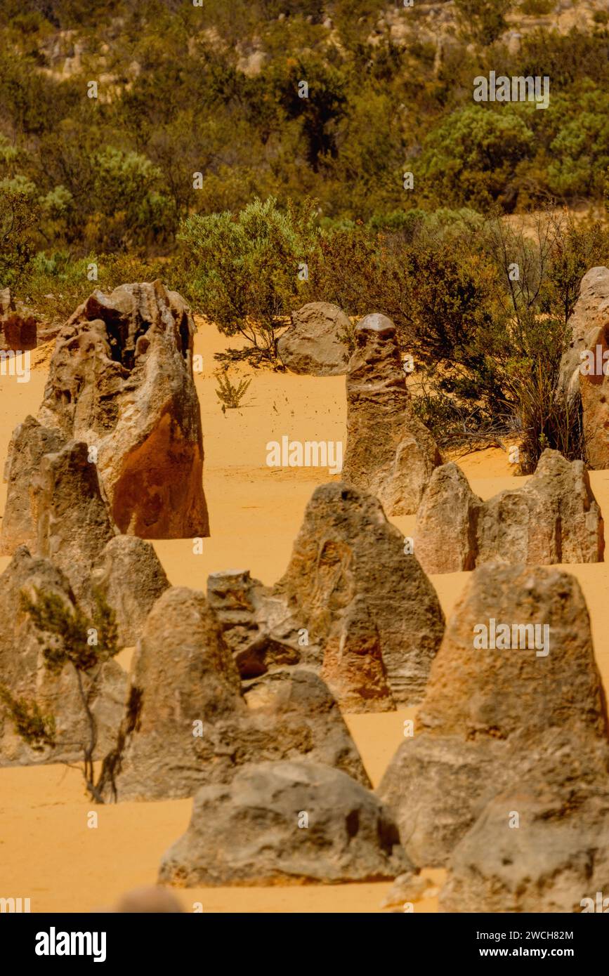The limestone formations in the Pinnacles Desert. Western Australia ...