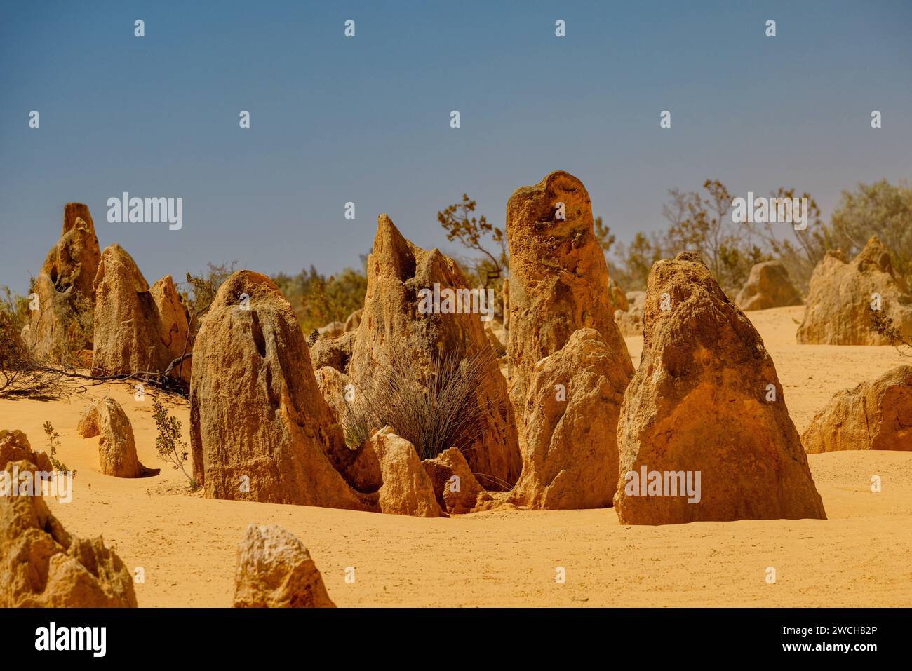 The limestone formations in the Pinnacles Desert. Western Australia ...