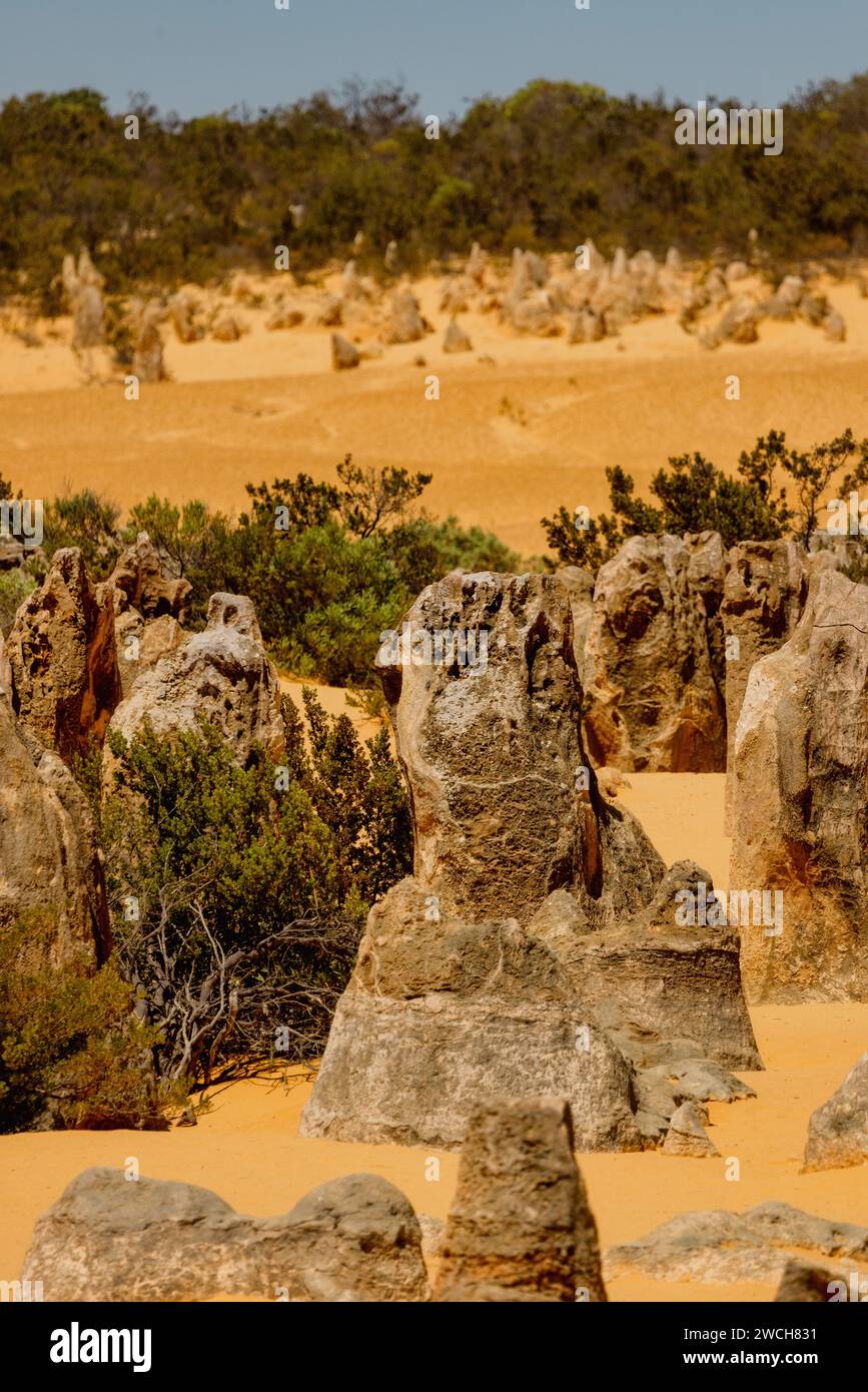 The limestone formations in the Pinnacles Desert. Western Australia ...