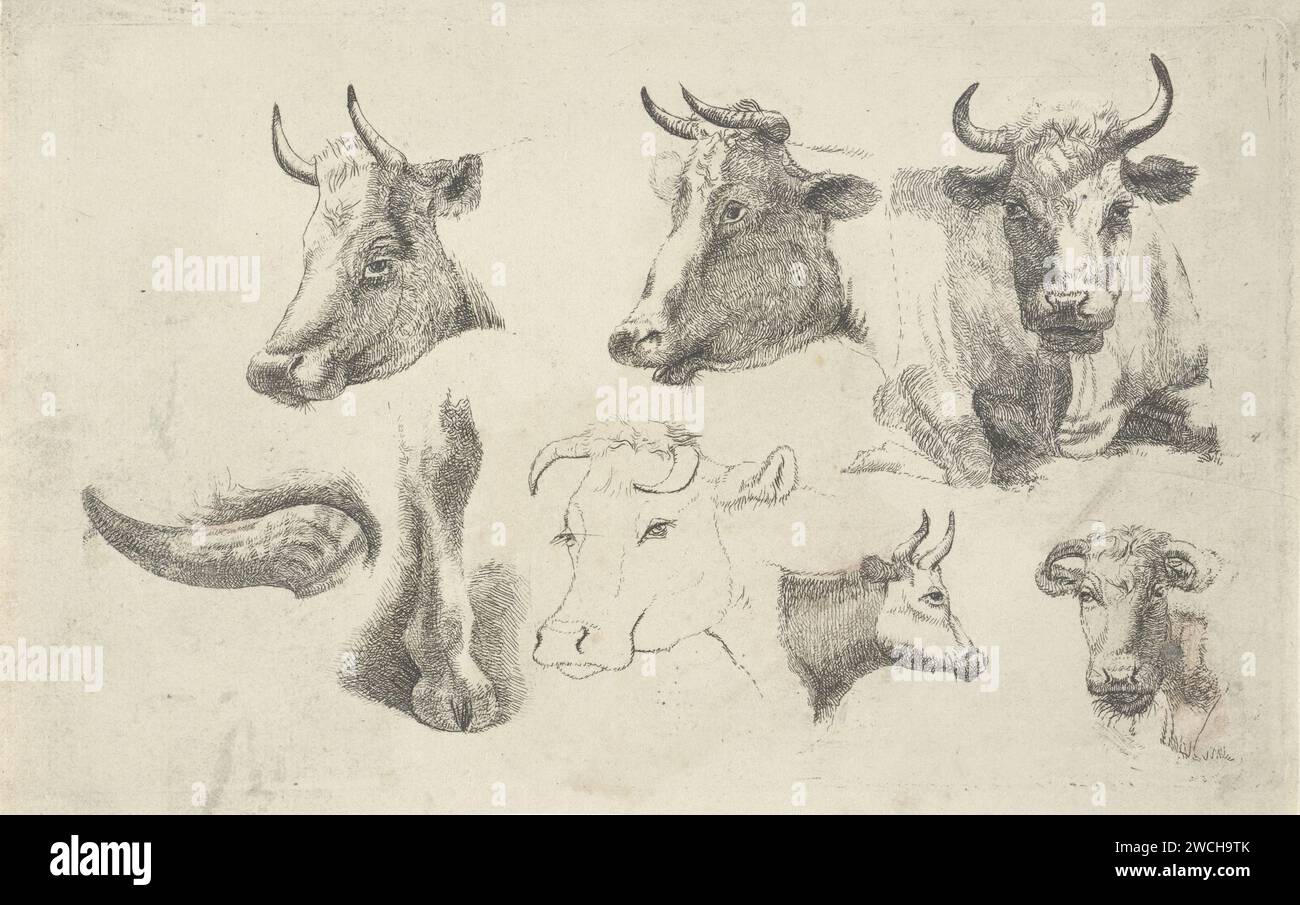 Study sheet with heads of cows, Andries Leijerdorp, 1799 - 1854 print ...