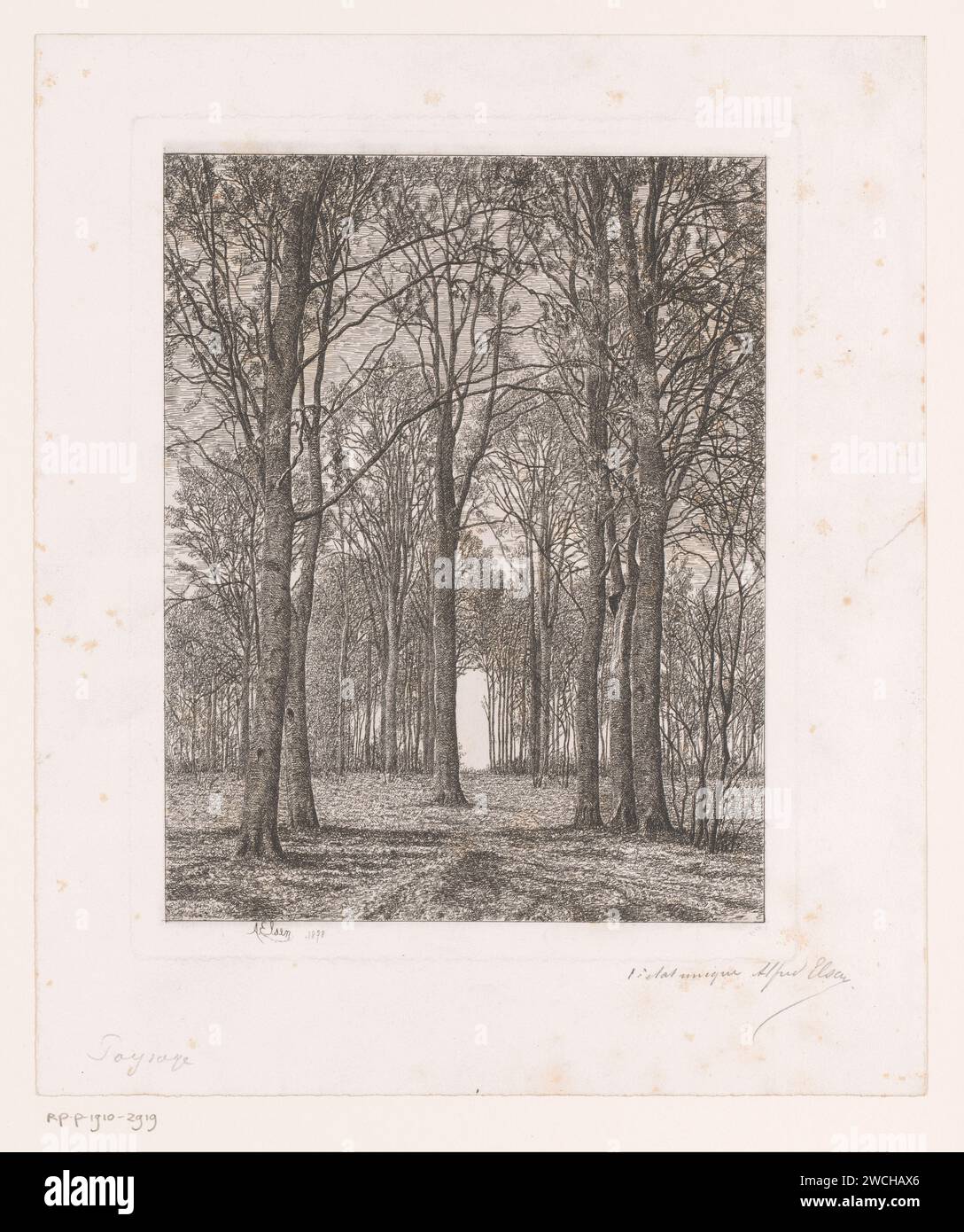 Landscape with trees, Alfred Elsen, 1878 print paper etching forest ...