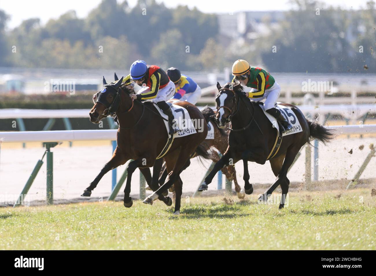 Kyoto Racecourse in Kyoto, Japan, January 14, 2024. (Photo by Eiichi ...
