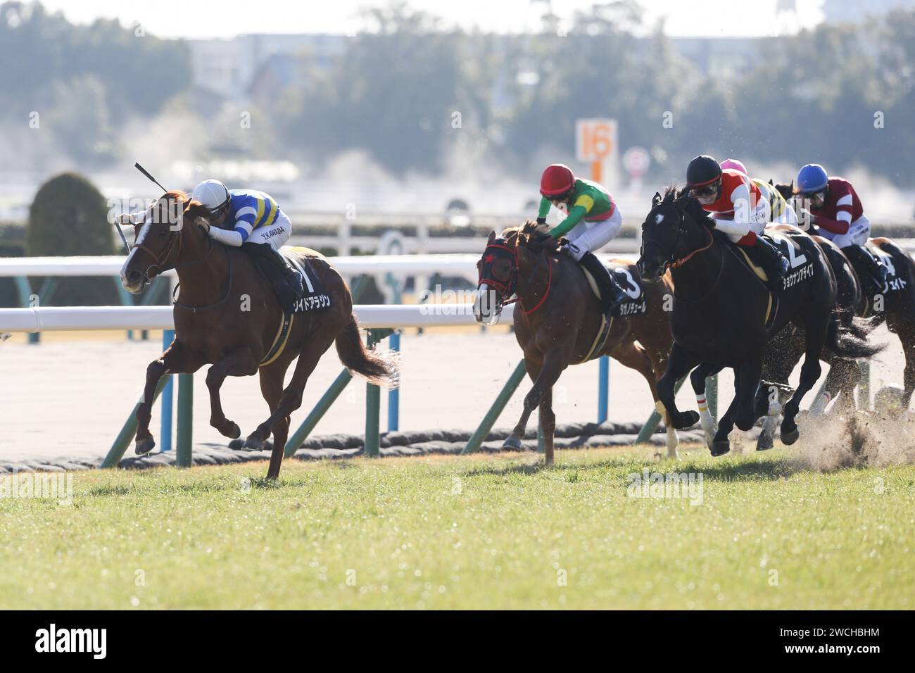 Yamane hi-res stock photography and images - Alamy