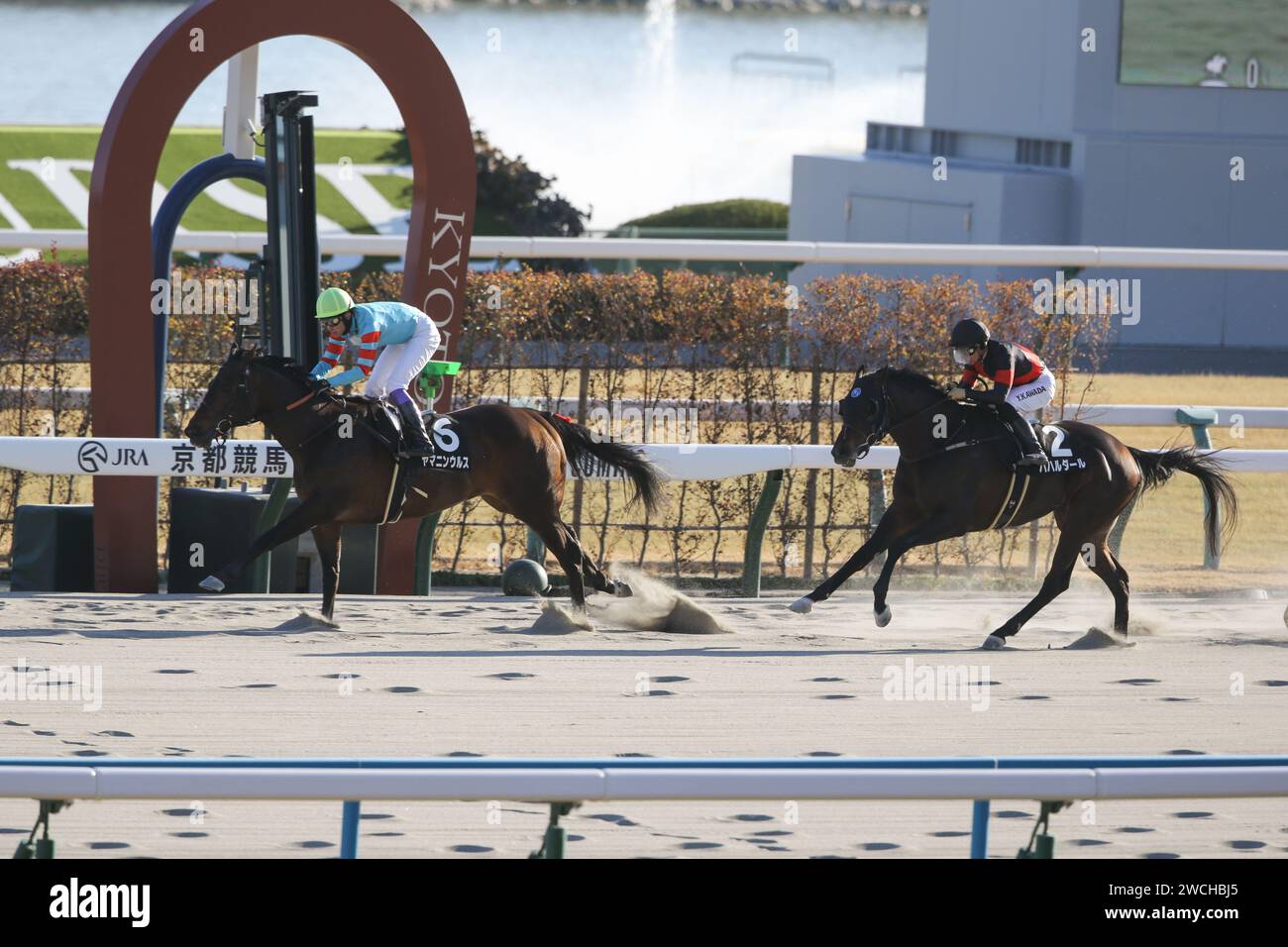 Kyoto Racecourse in Kyoto, Japan, January 14, 2024. (Photo by Eiichi ...